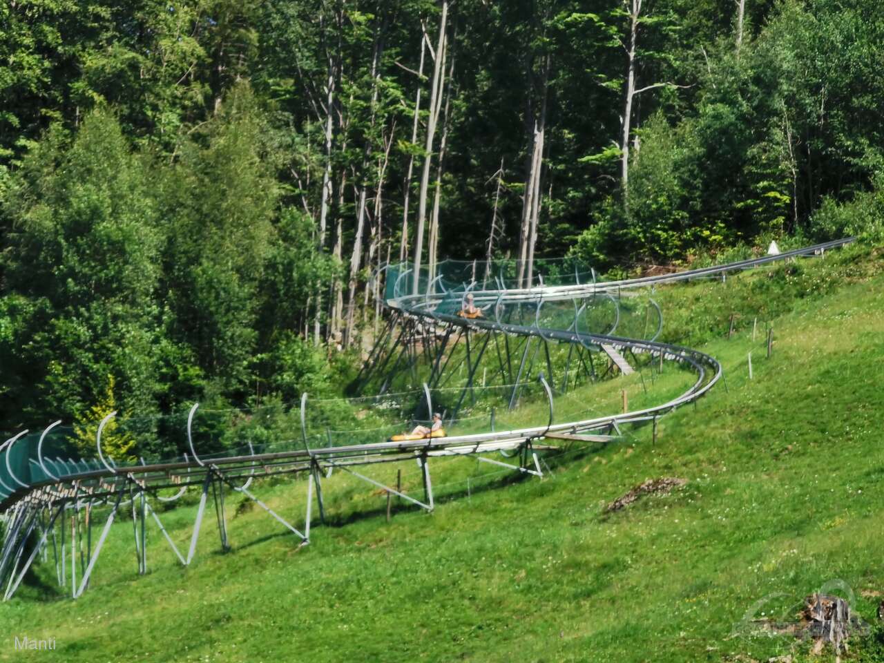 Alpsee Coaster im Parkcheckpoint für Freizeitparks und Achterbahnen