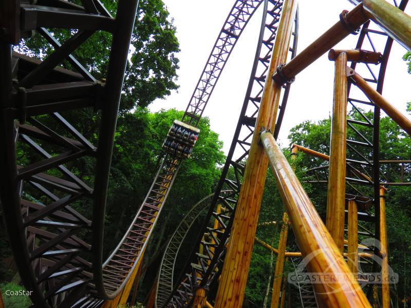 Falcon im Parkcheckpoint für Freizeitparks und Achterbahnen