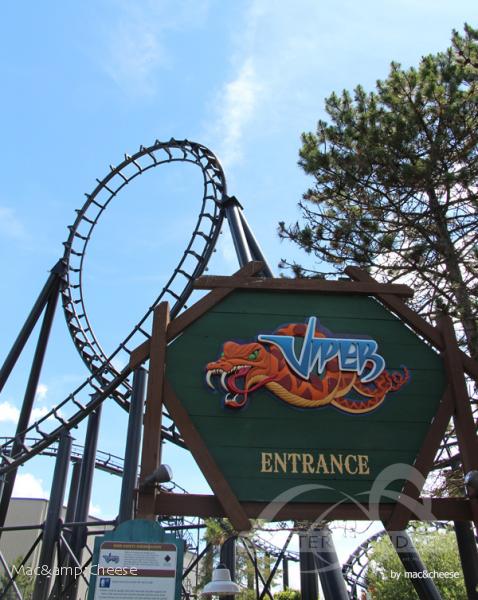 Viper im Parkcheckpoint für Freizeitparks und Achterbahnen